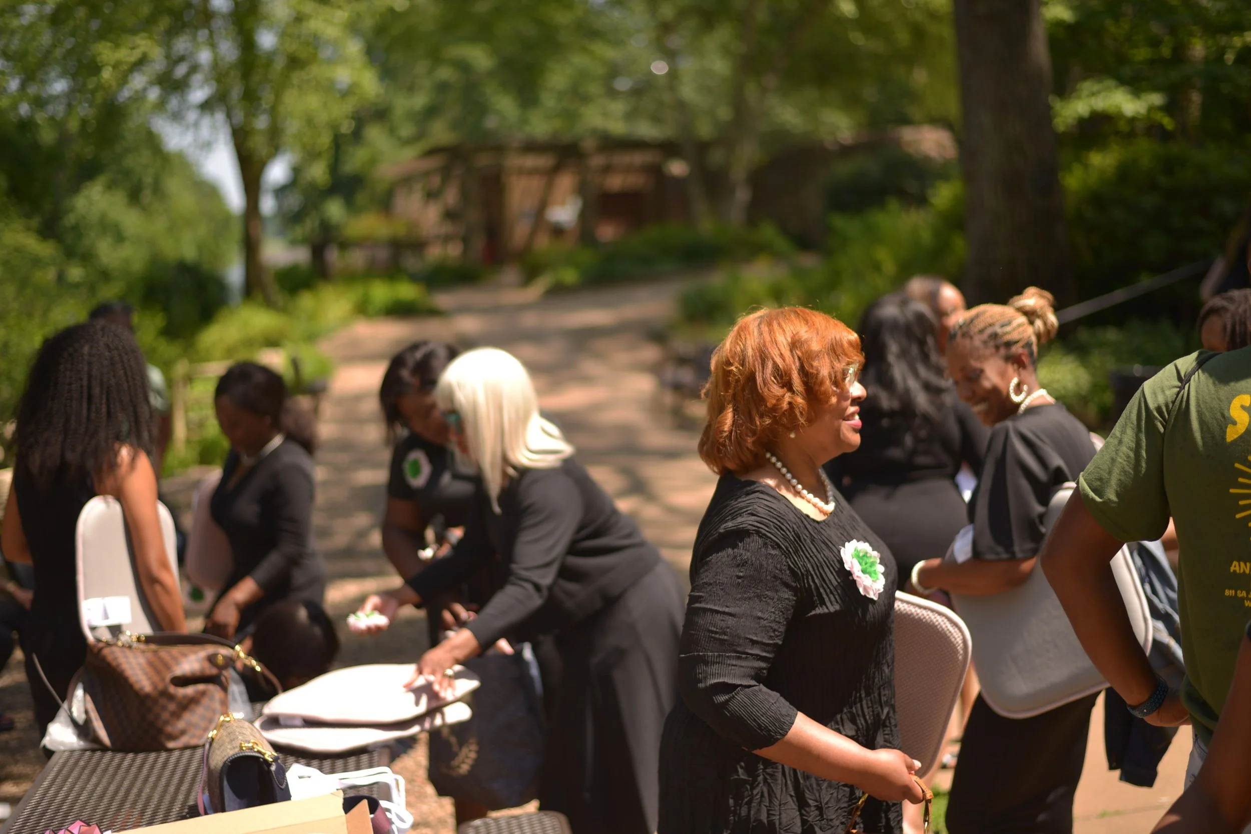 An Official Interest Group of Alpha Kappa Alpha Sorority, Inc.