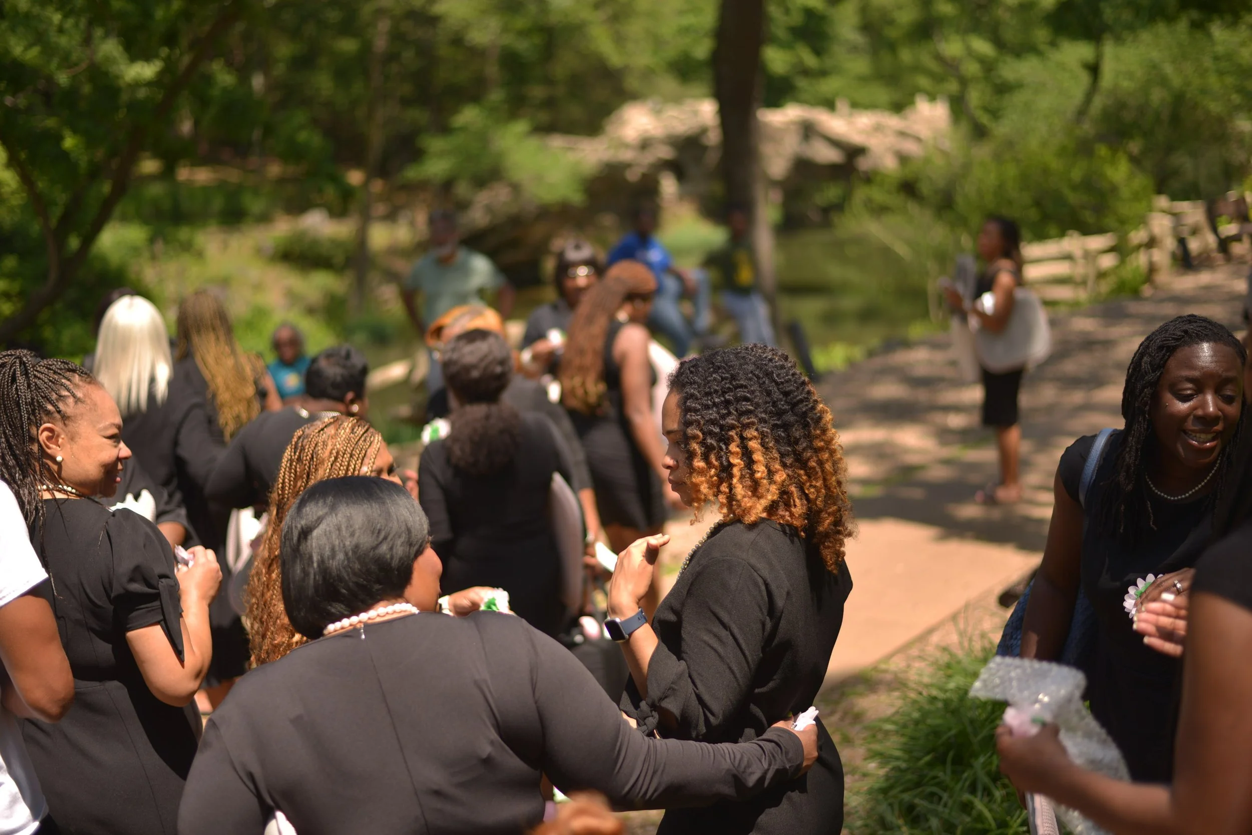An Official Interest Group of Alpha Kappa Alpha Sorority, Inc.