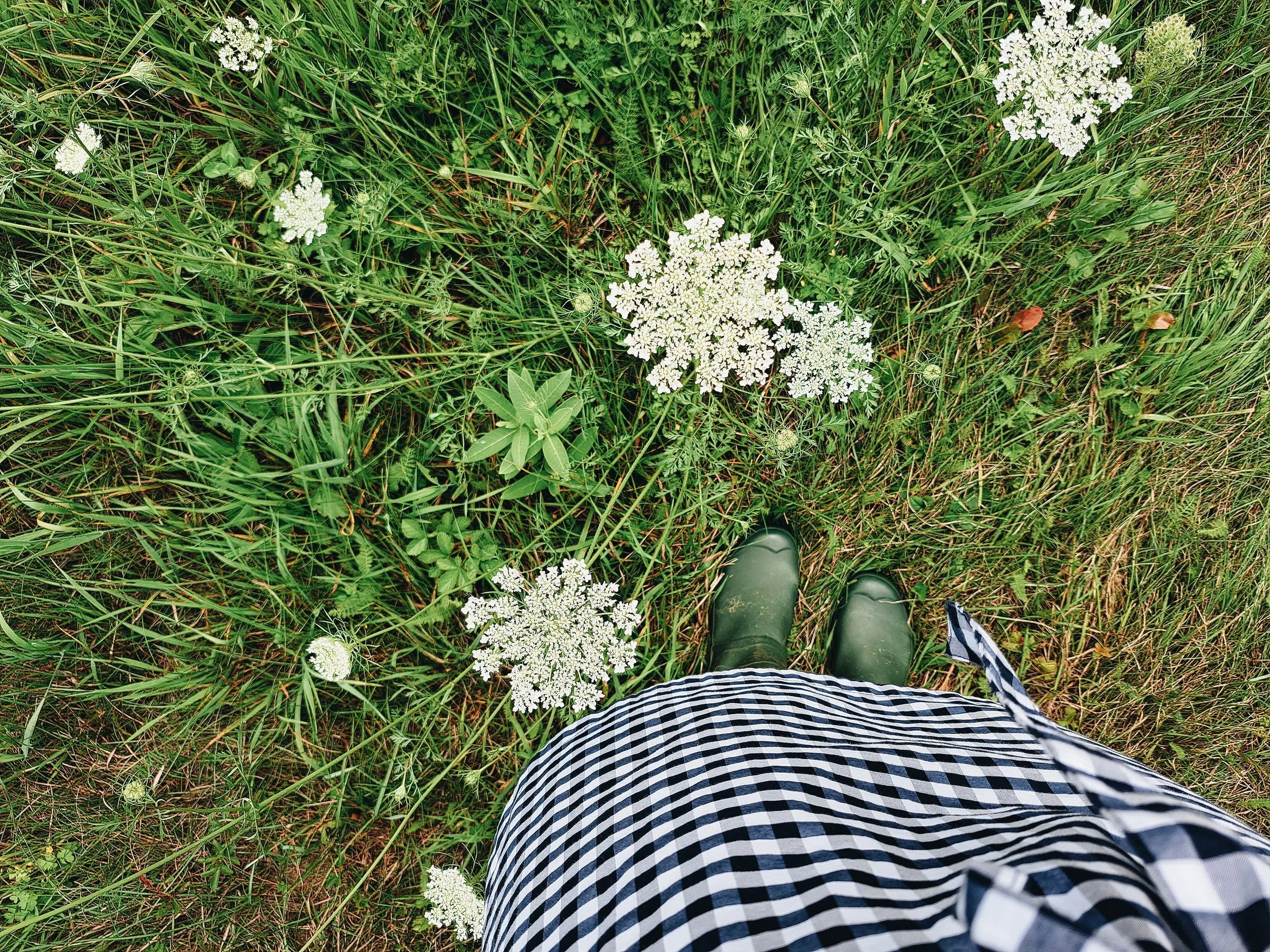 Paths Through the Year — Corinne Cunningham