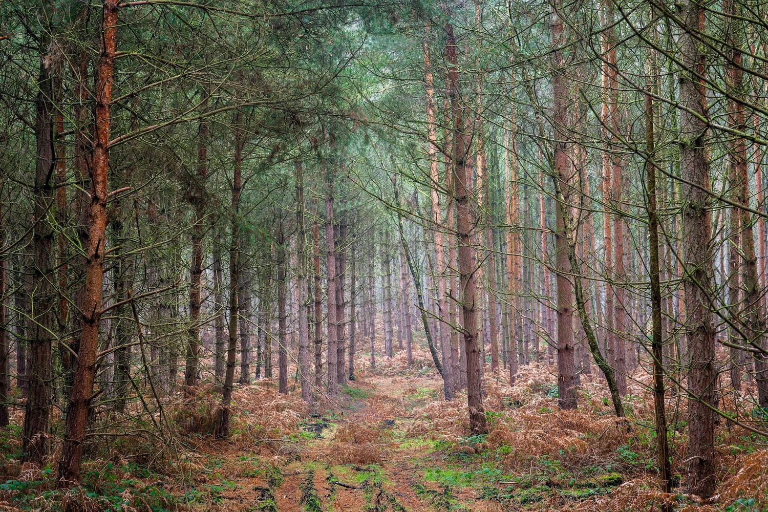 Contact — Urban Bushcraft — Nottingham Outdoor Bushcraft Activities and ...