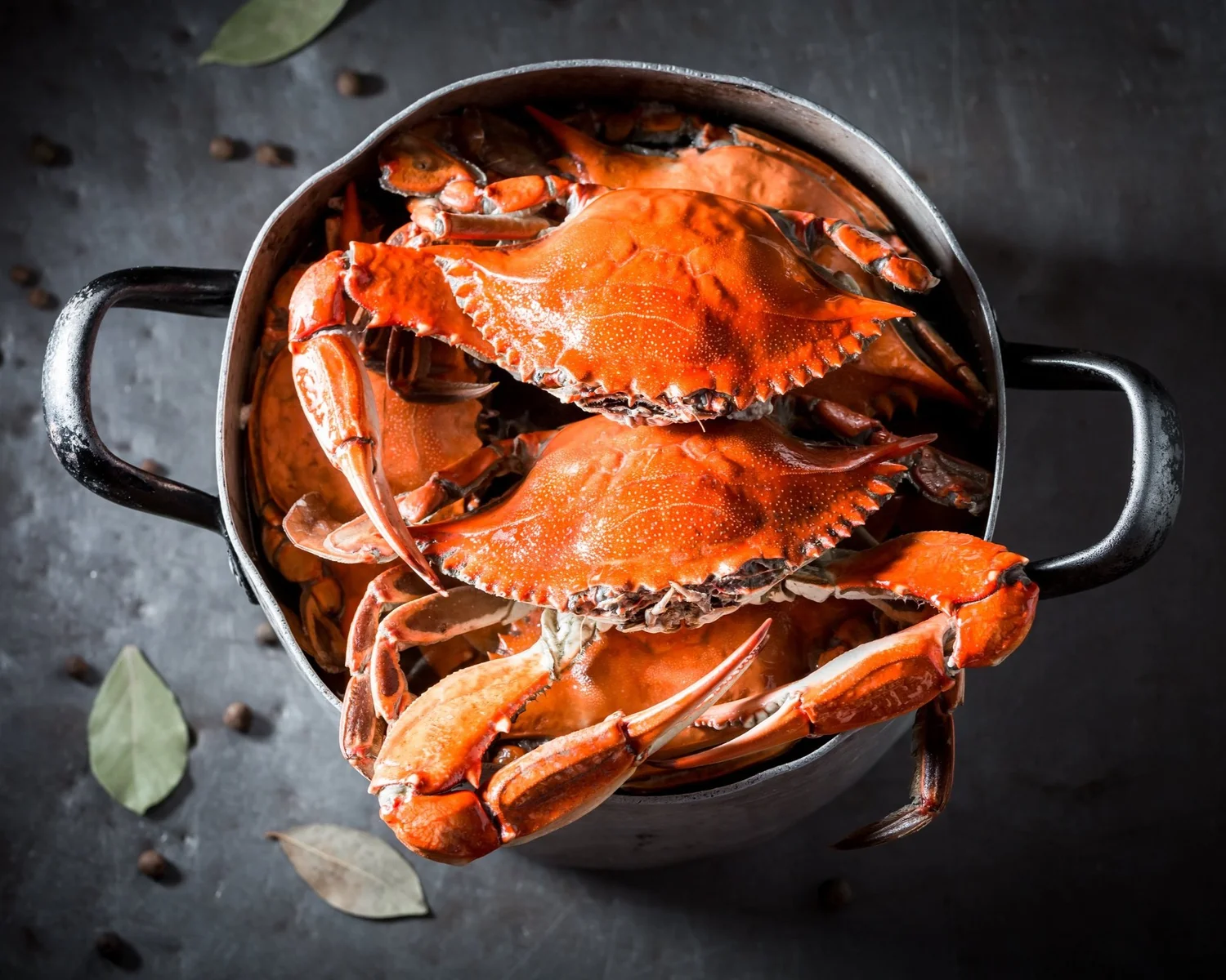 Hook'd Up Seafood | Freshest & Highest Quality Seafood | Roswell, GA