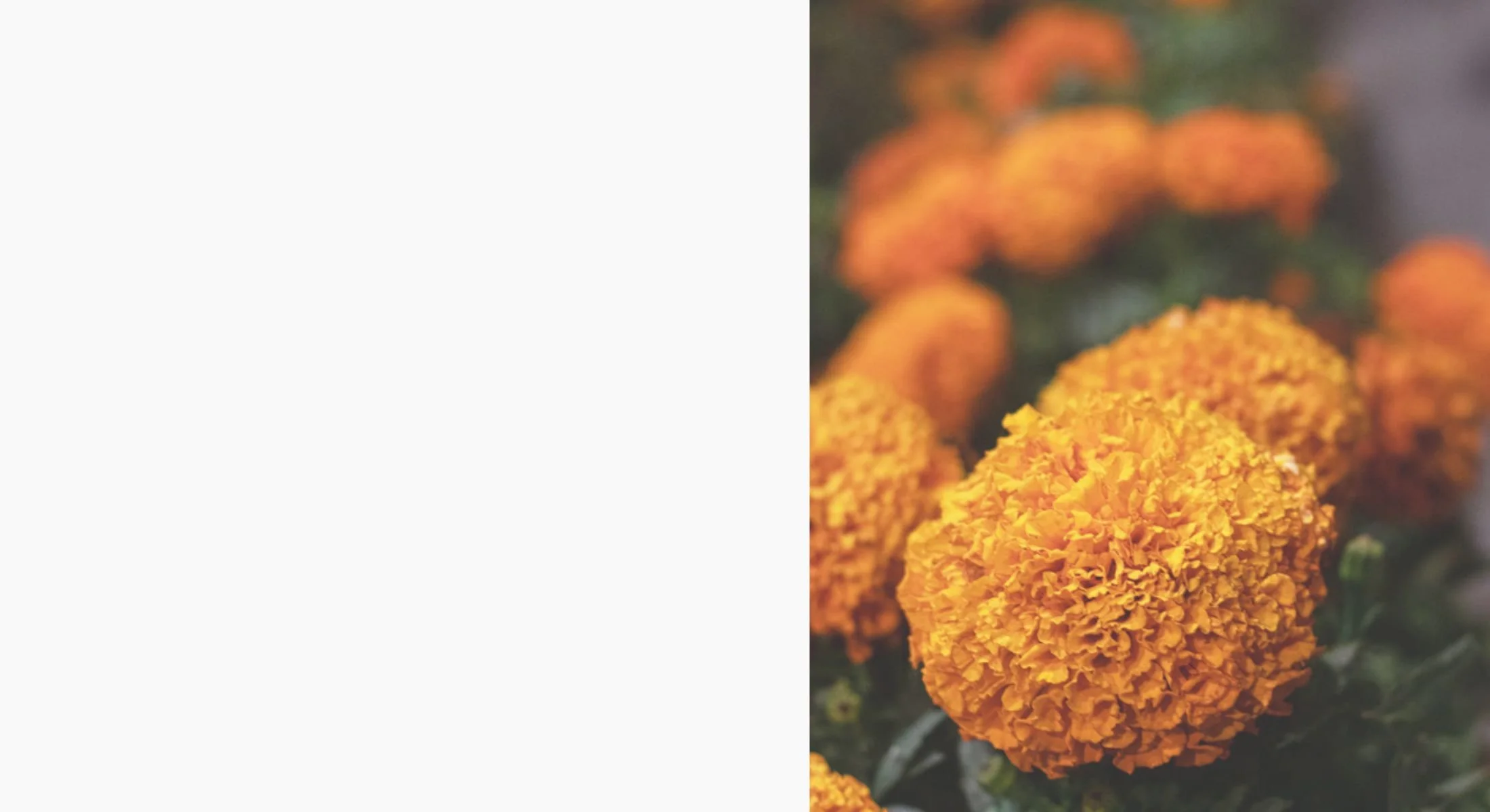 Grief Therapy in Seattle | Individual Therapy and Couples Therapy in ...