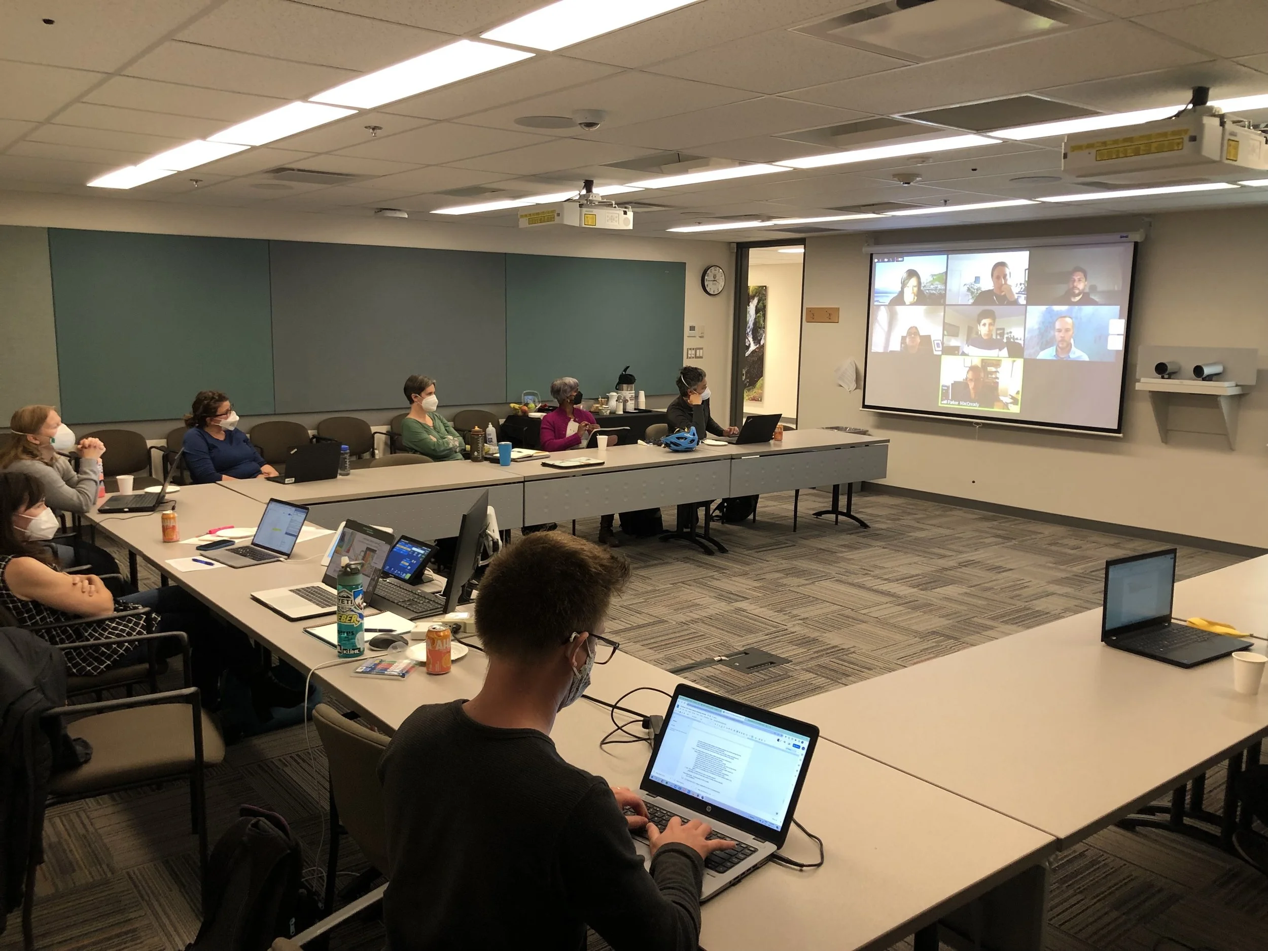 News — Blue Carbon Canada