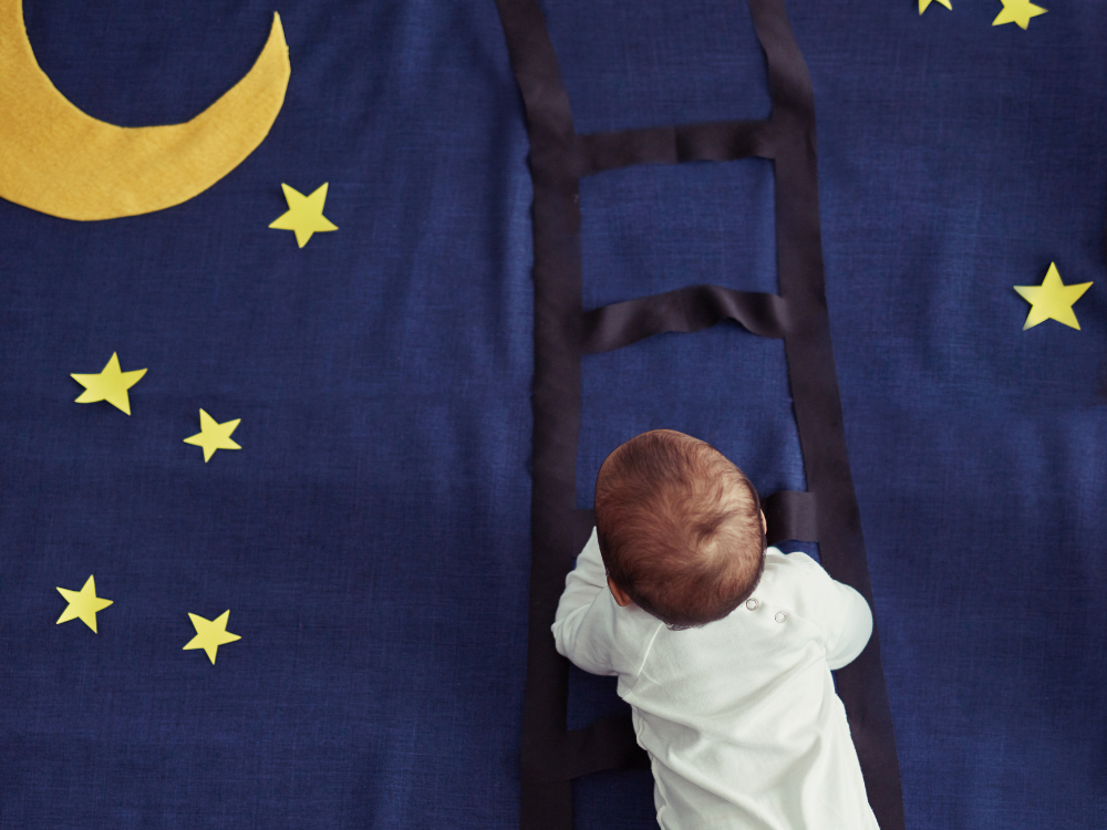 Dreamweaving — DAN LITVIN