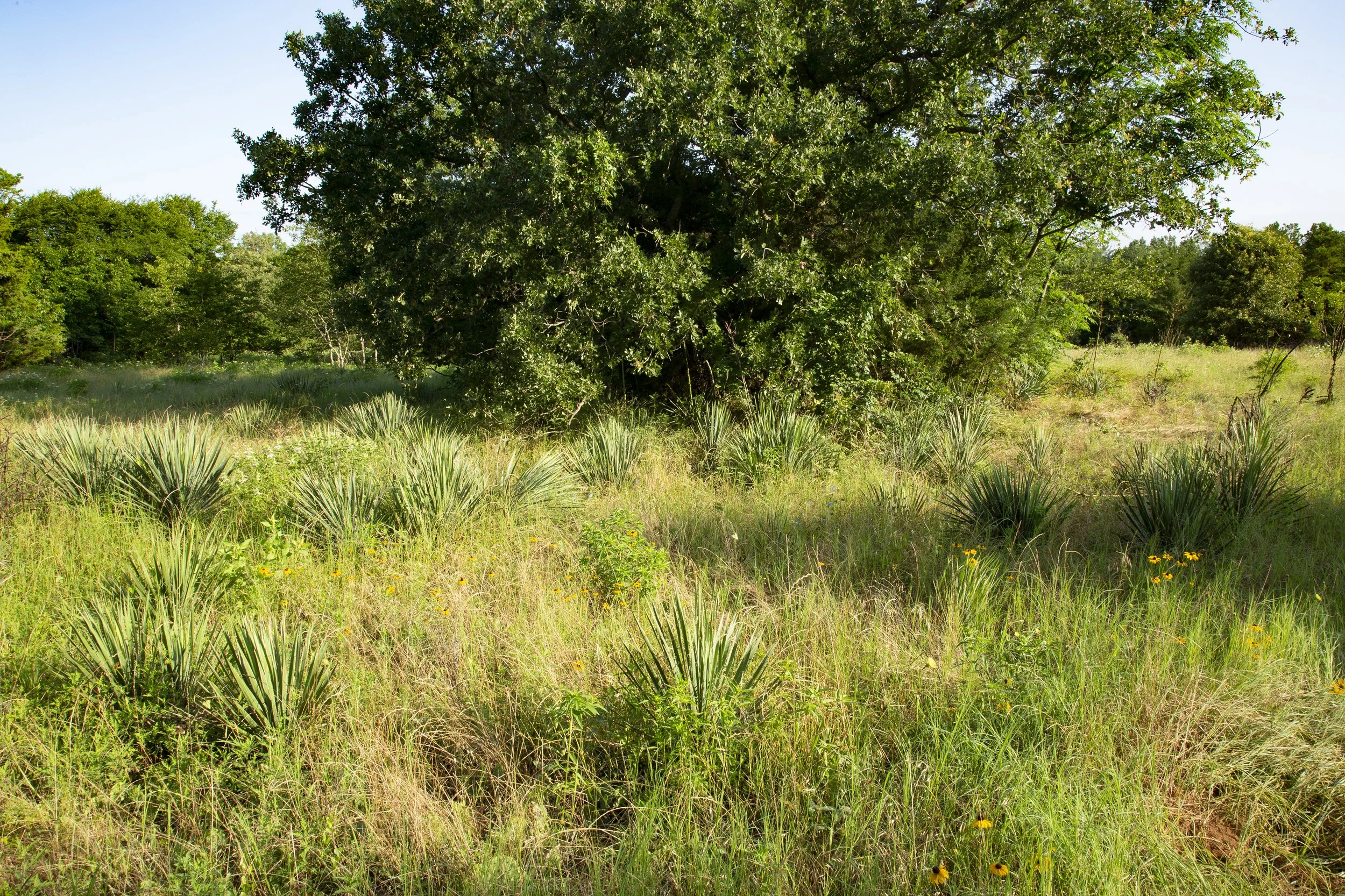 Team — Conservation Equity Partners