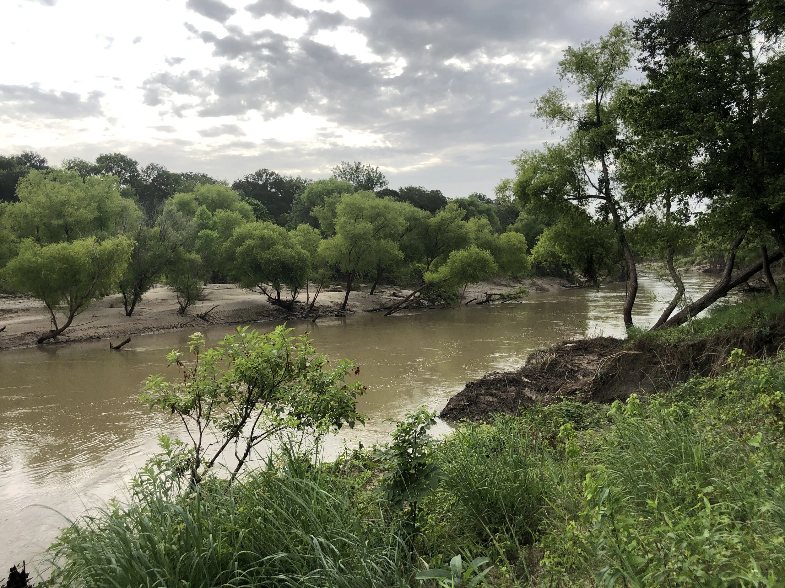 Regulatory — Conservation Equity Partners