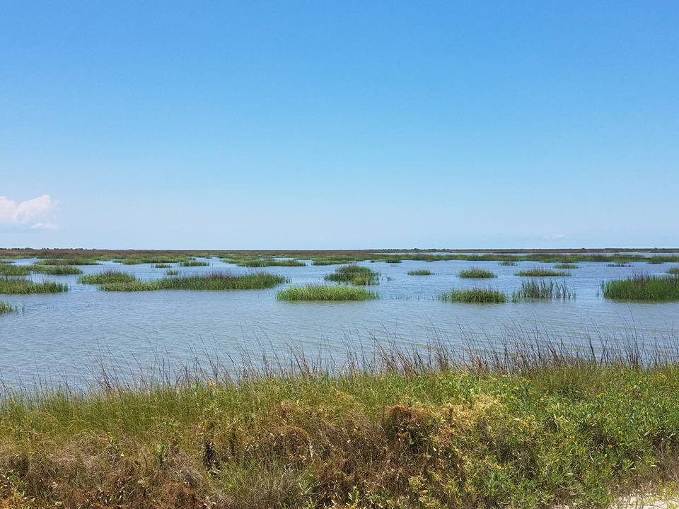 Projects — Conservation Equity Partners