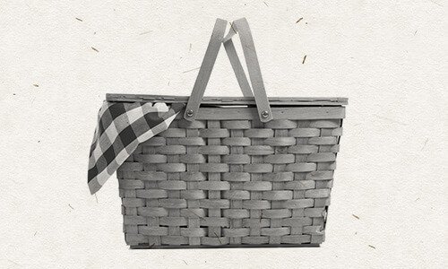 Alison Solomon — Official Website