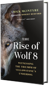 The Rise of Wolf 8 — Rick McIntyre
