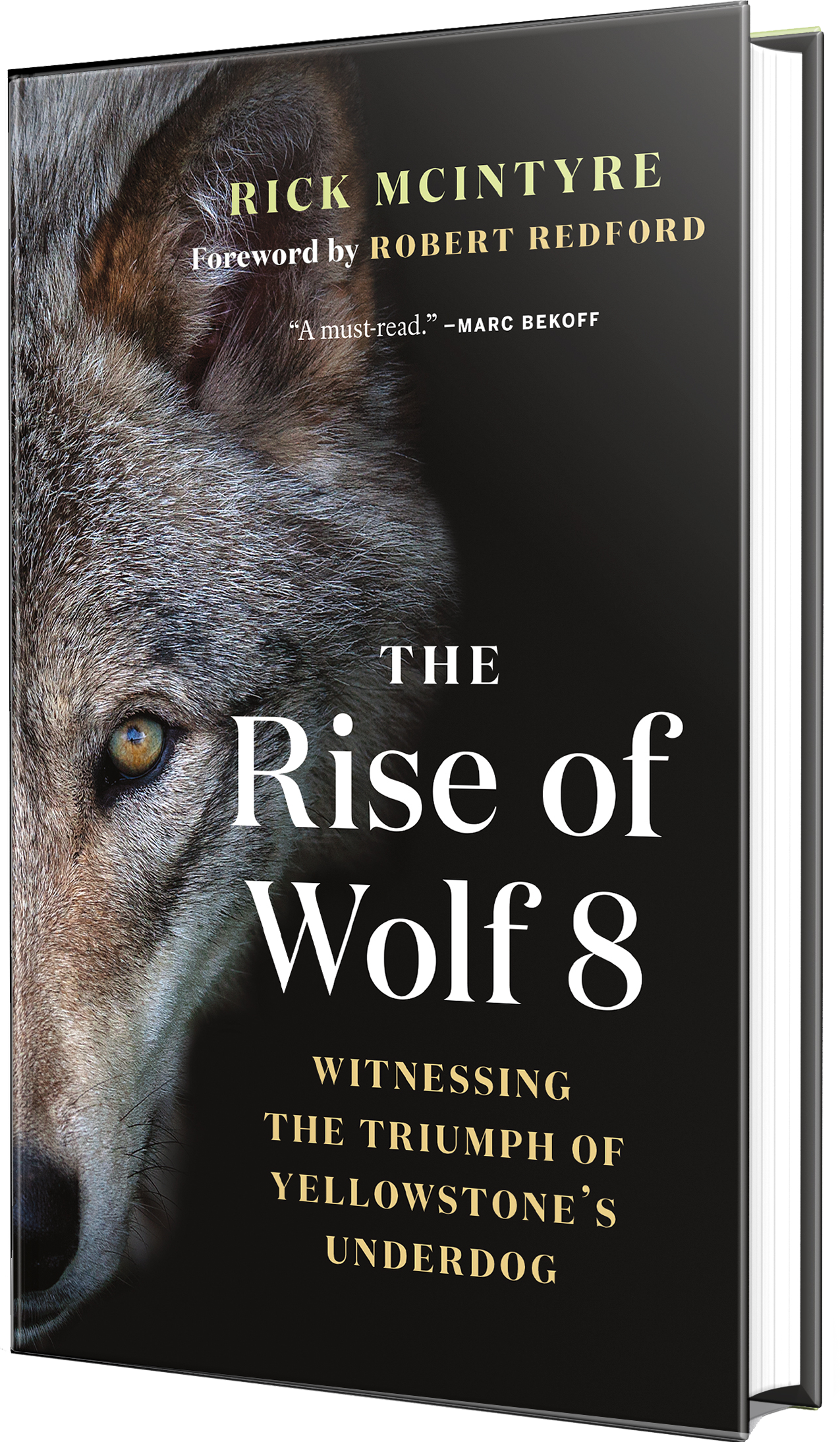 The Rise of Wolf 8 — Rick McIntyre