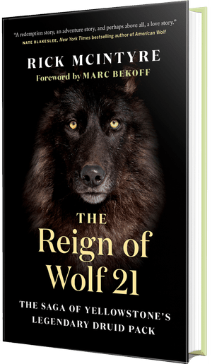 Books — Rick McIntyre