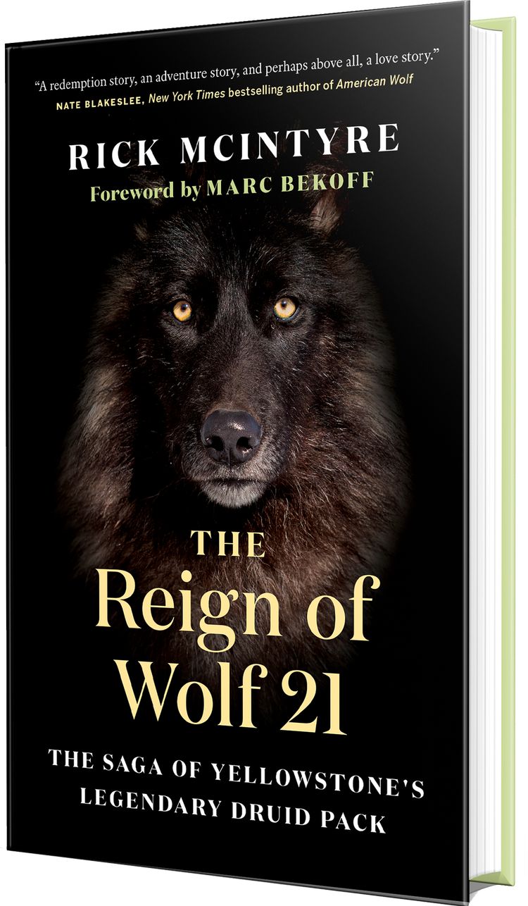 Books — Rick McIntyre