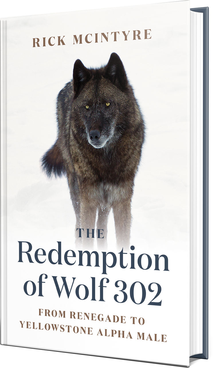 Books — Rick McIntyre