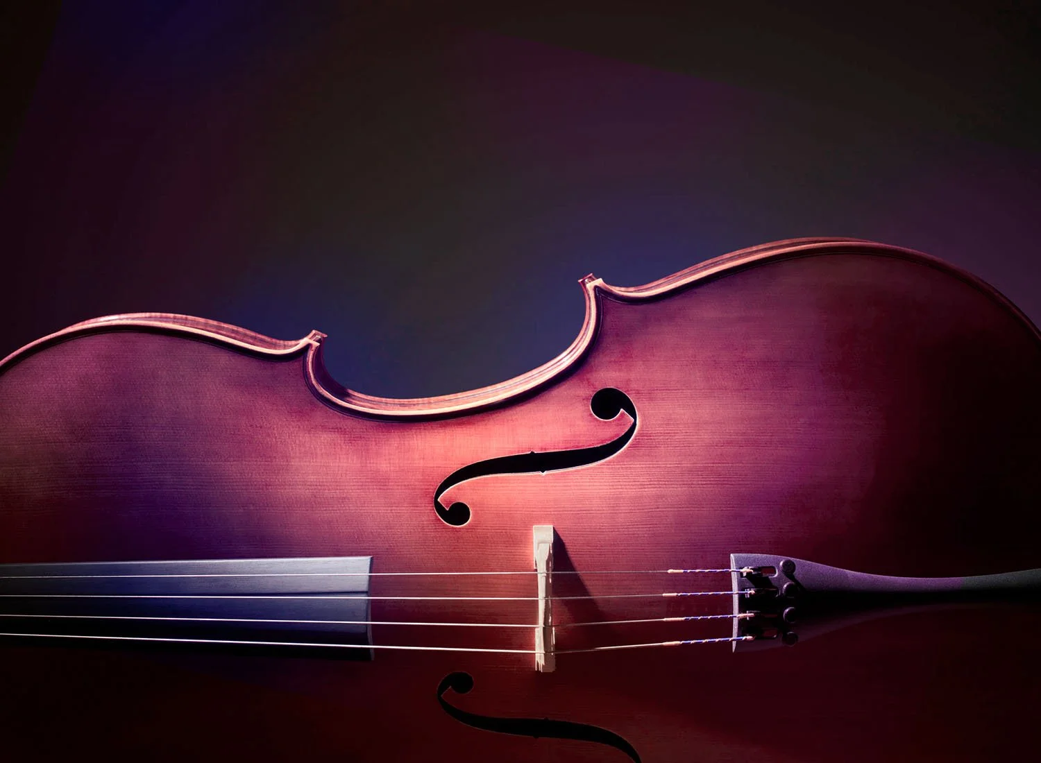 Celloles — B! Music School