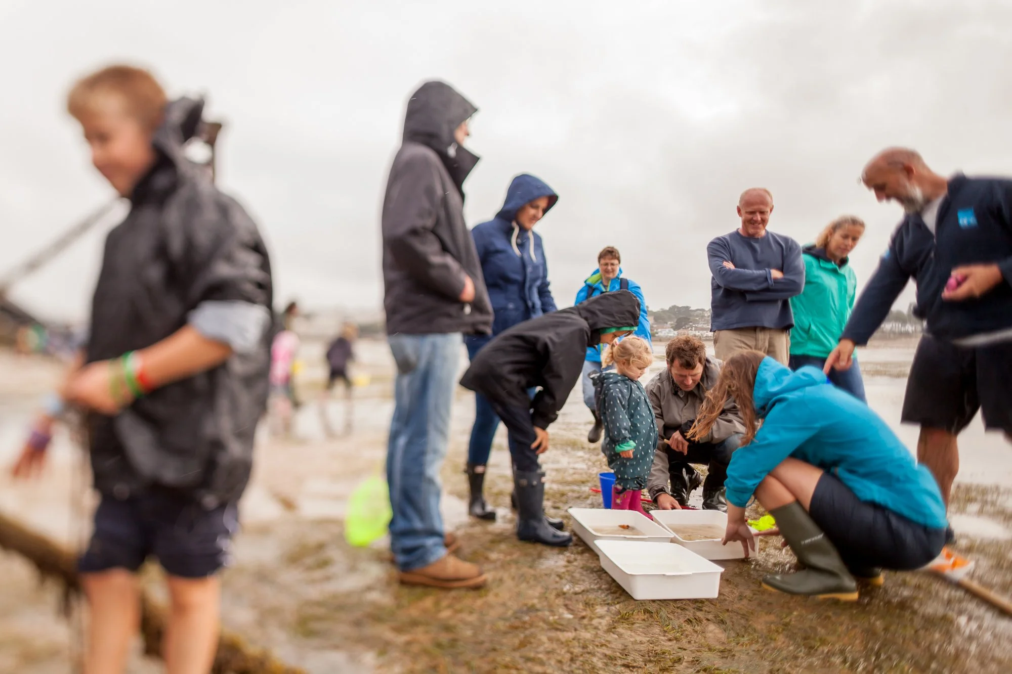 Festival — Isle of Wight UNESCO World Biosphere Reserve