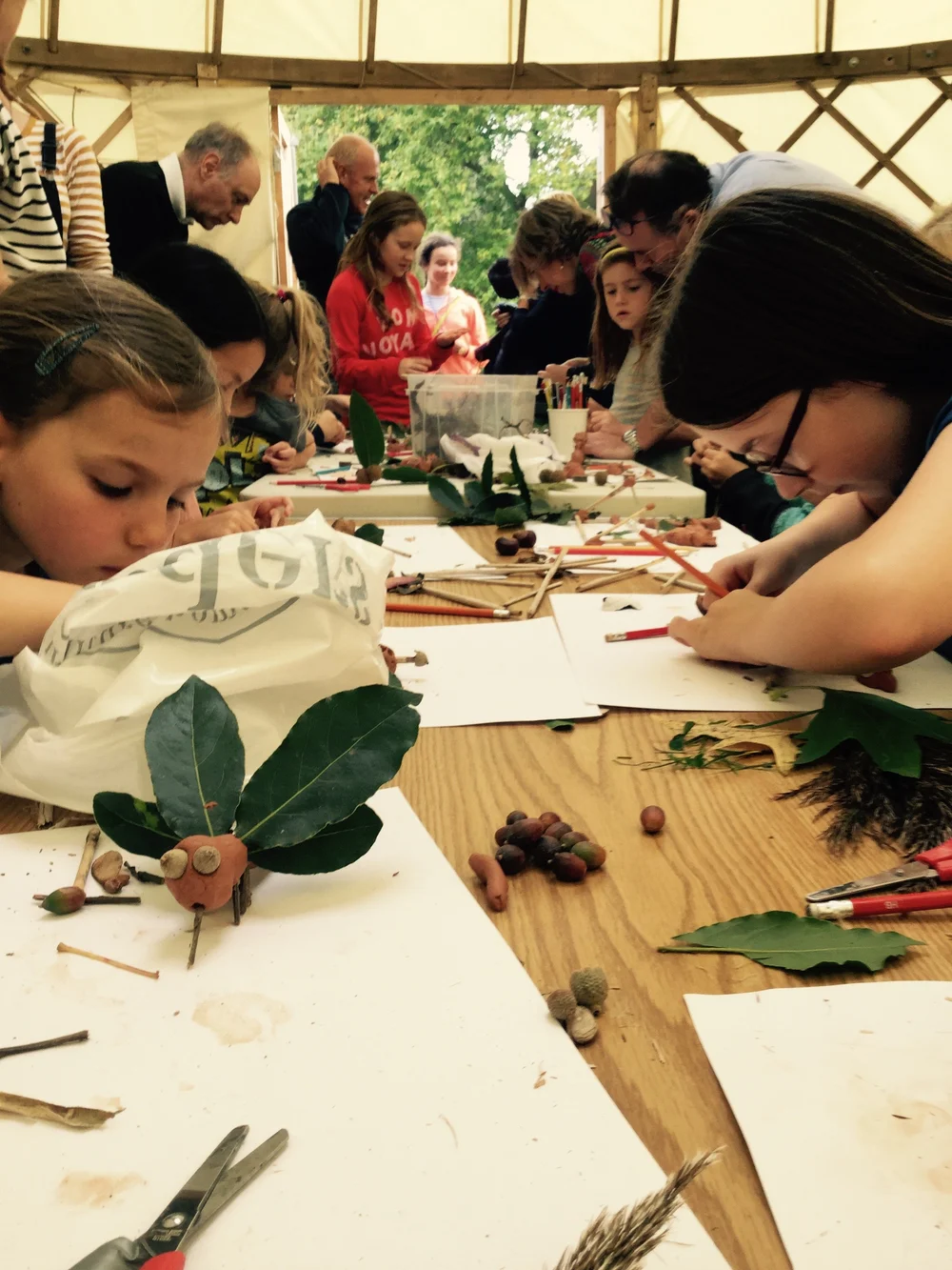 Festival — Isle of Wight UNESCO World Biosphere Reserve