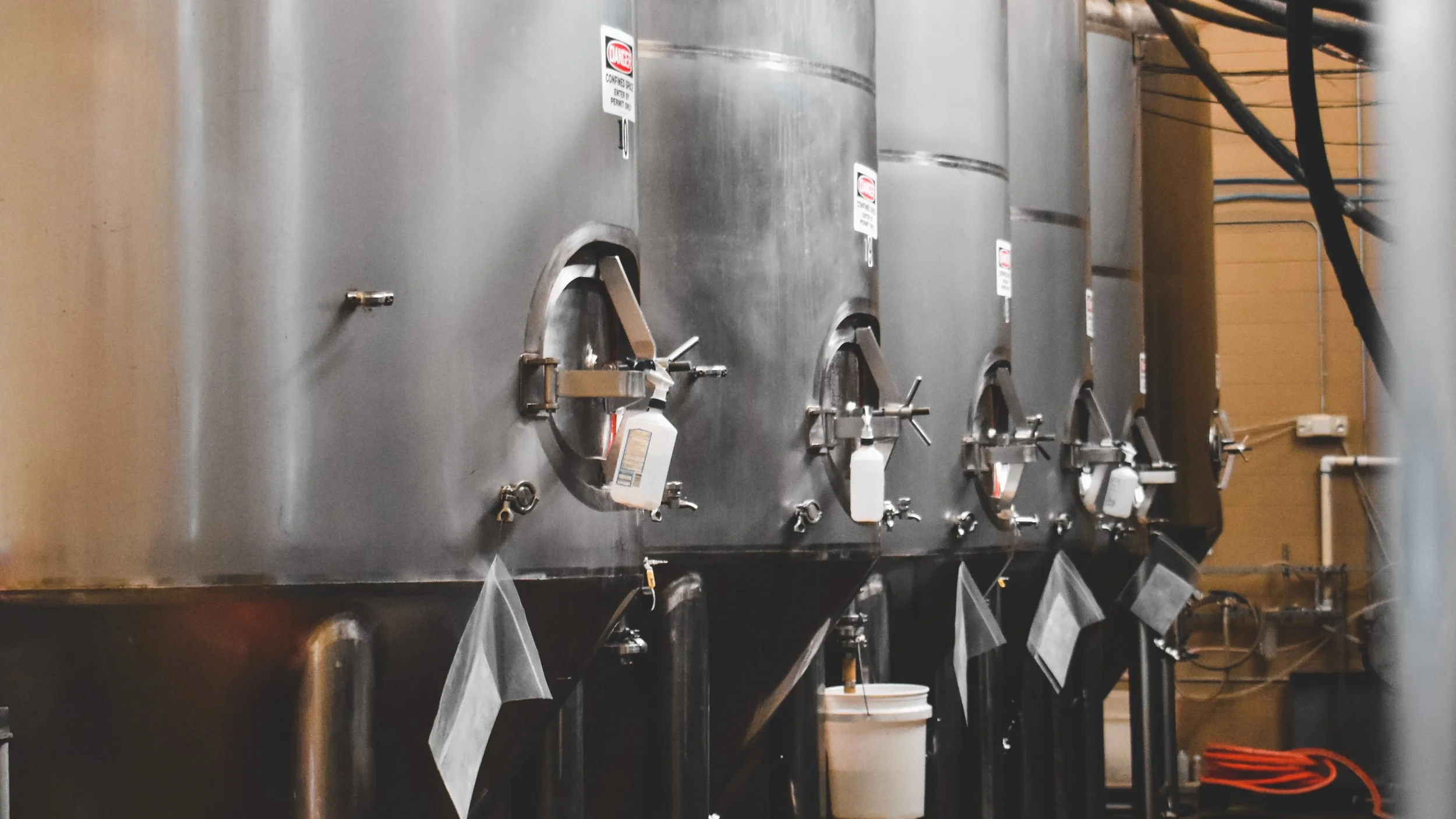 General 2 — LAZY MAGNOLIA