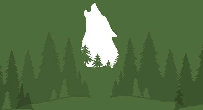Outdoor Events in Devon — Dynamic Adventures