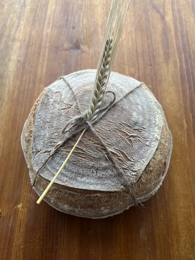 Barnhill Farm is a working farm and farm shop set amongst 70 acres of ...