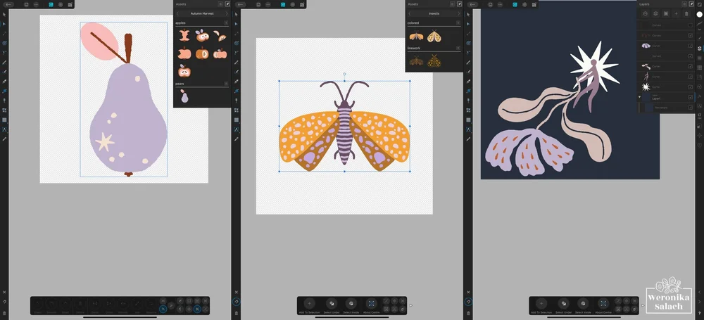 Can you create VECTOR assets in Procreate? — Weronika Salach ...