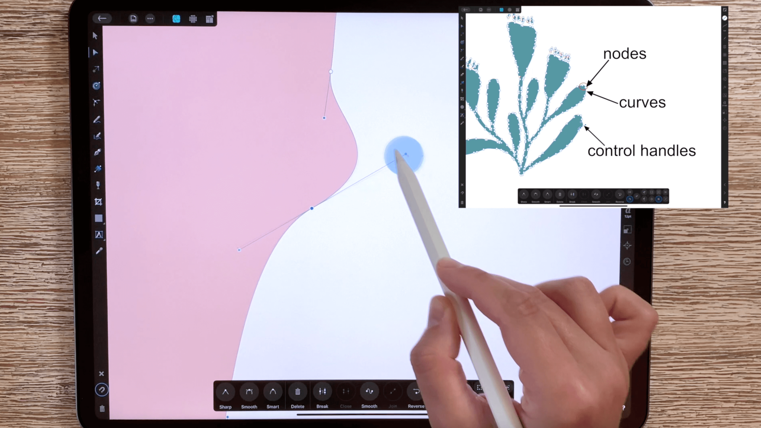 Affinity Designer for Beginners Online Course: Introduction to Vector ...