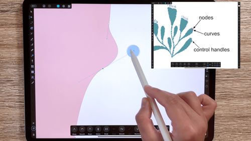 Affinity Designer for Beginners Online Course: Introduction to Vector ...
