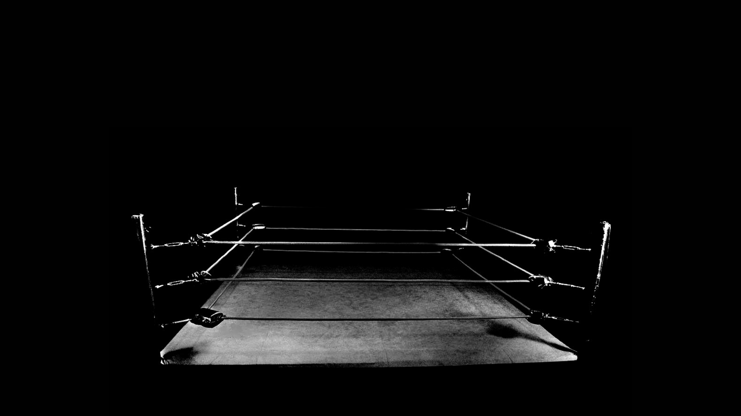 Street Fight Marketing street-fight-marketing