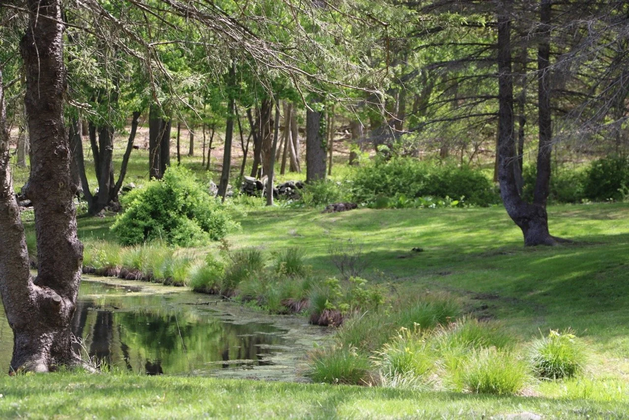 Clark Preserve — Pound Ridge Land Conservancy