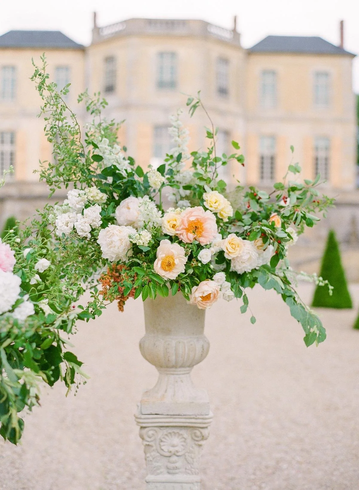 The Ultimate Floral Glossary: Demystifying Every Essential Floral Term ...