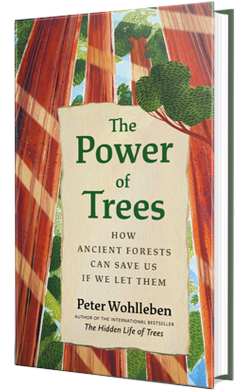 Books — Peter Wohlleben