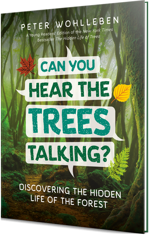 Can You Hear the Trees Talking? — Peter Wohlleben