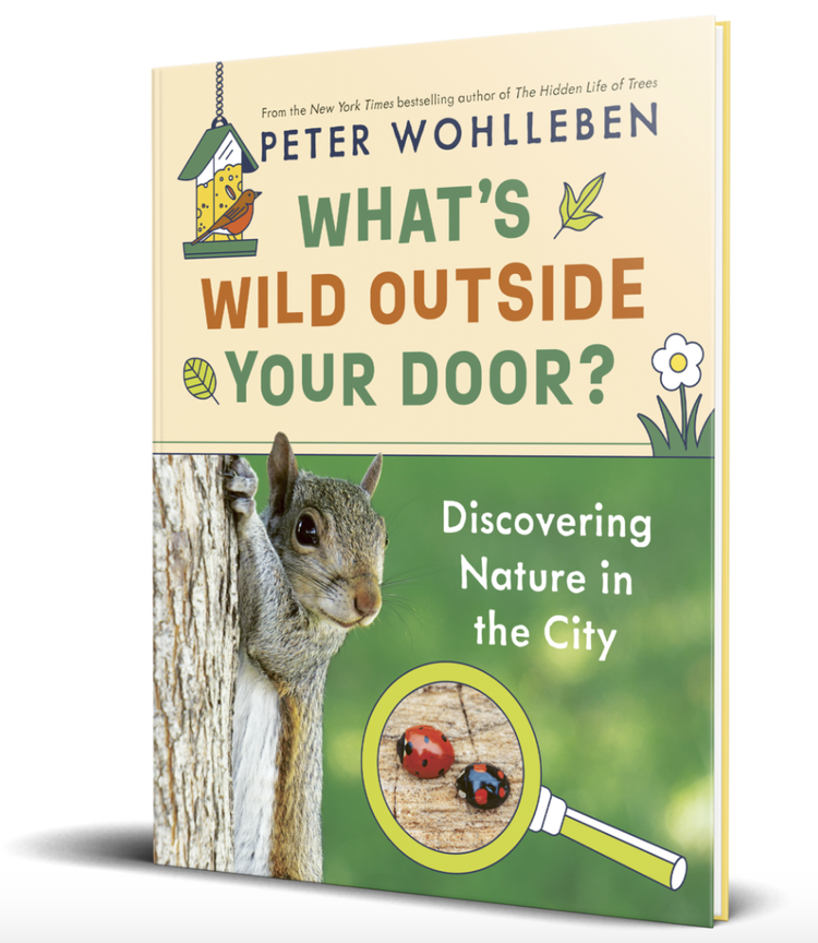 Books — Peter Wohlleben