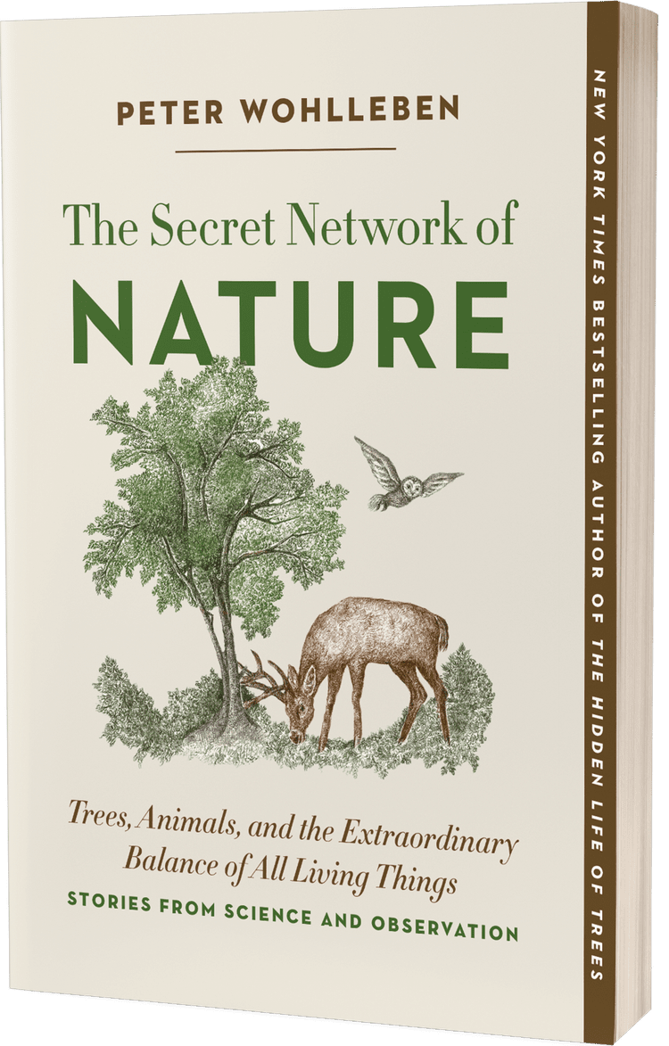 The Secret Network of Nature — Peter Wohlleben