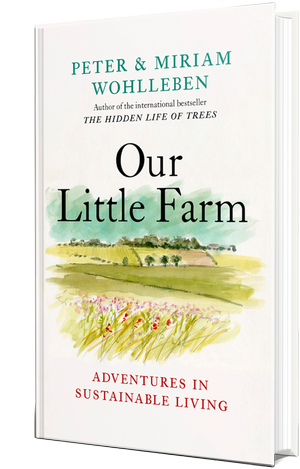 Books — Peter Wohlleben