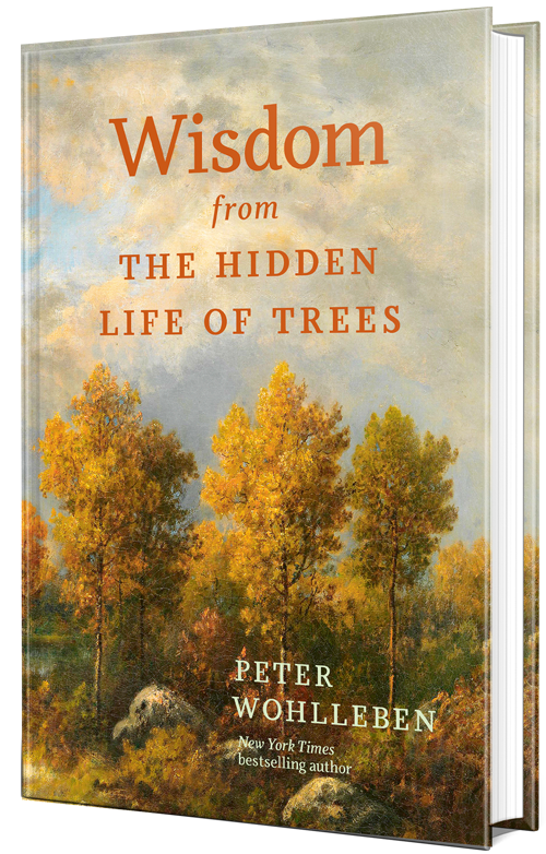 Books — Peter Wohlleben