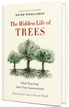 The Hidden Life of Trees — Peter Wohlleben