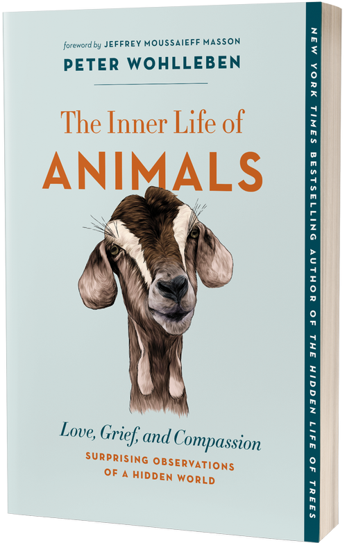 The Inner Life of Animals — Peter Wohlleben