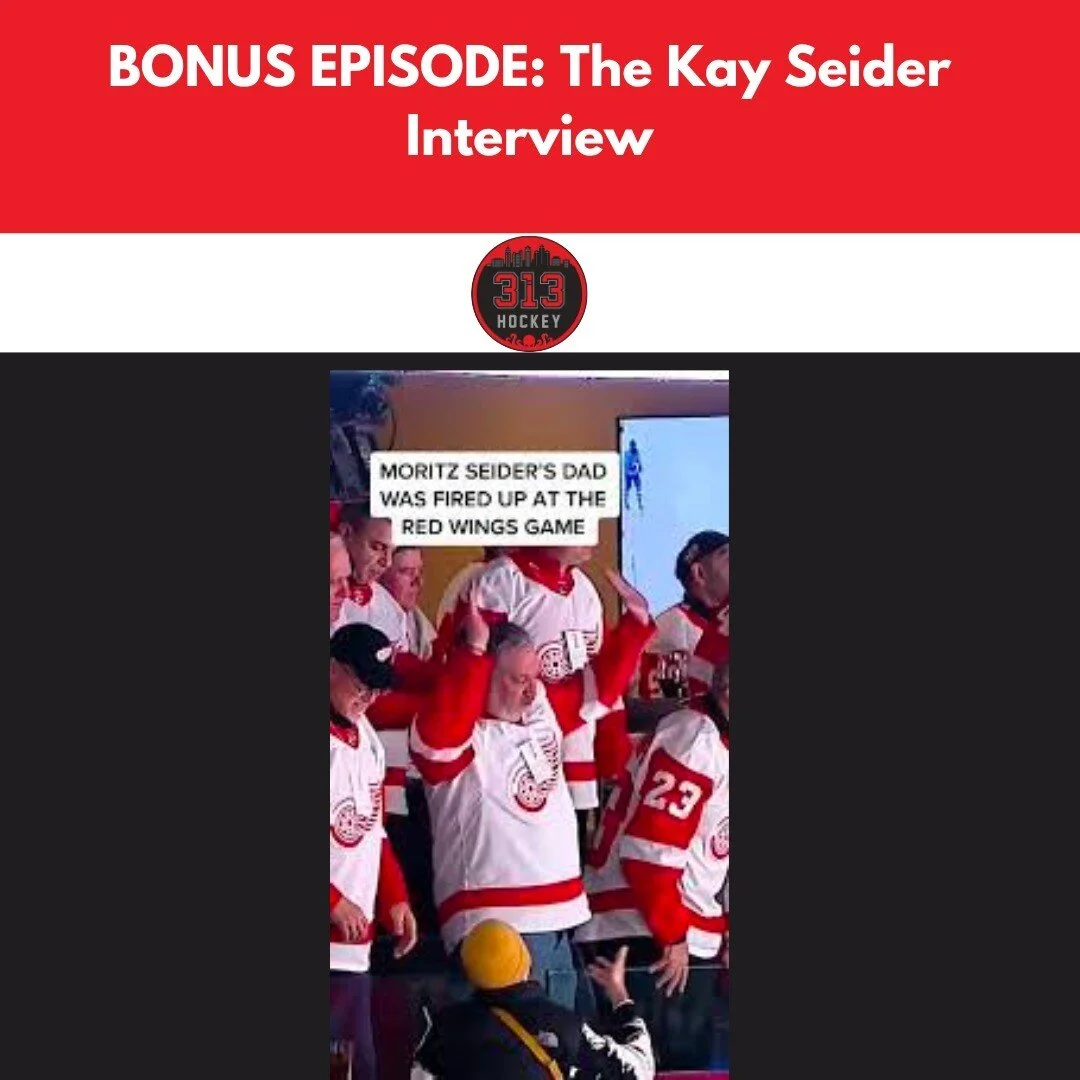 Hockey Memes Red Wings