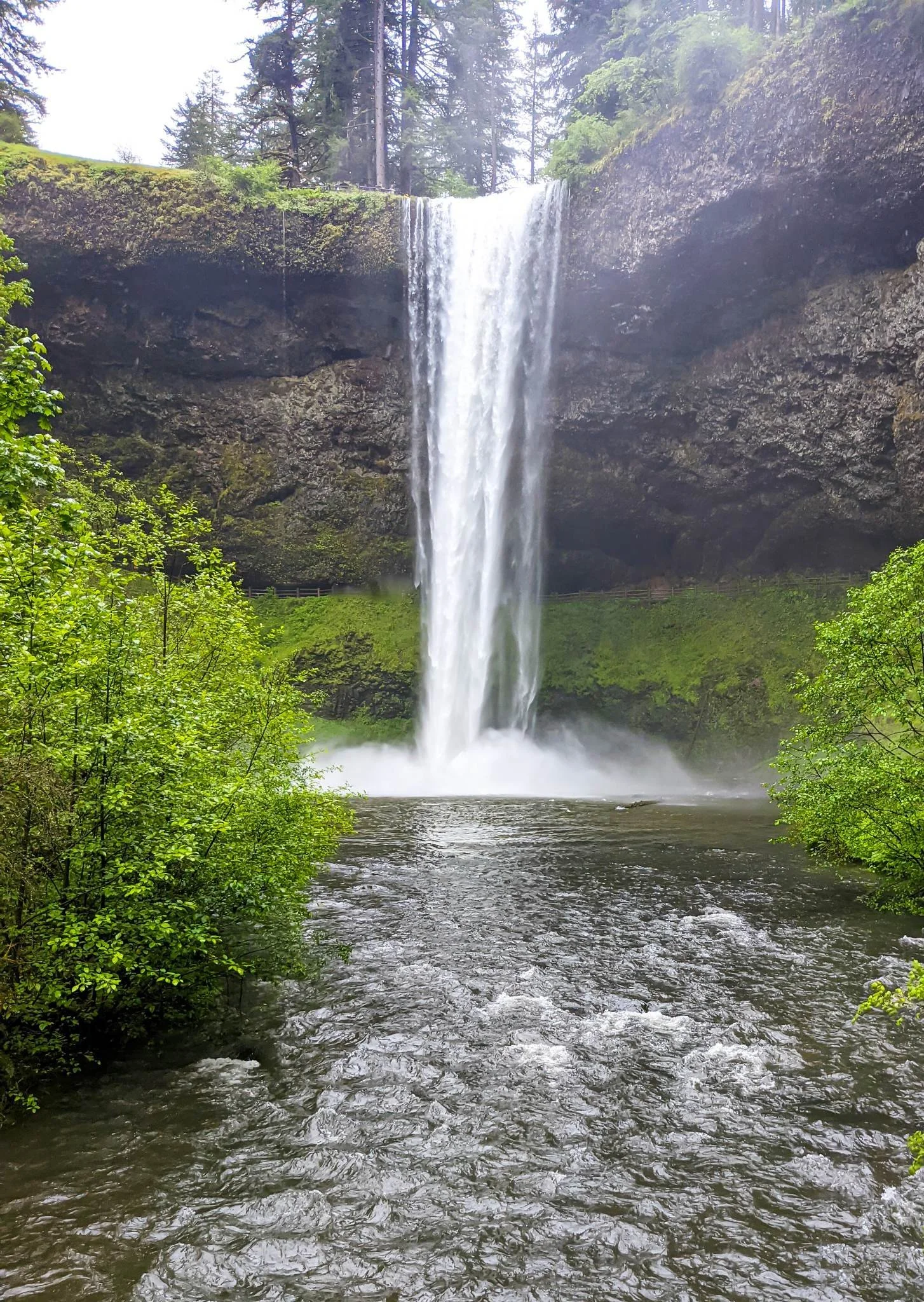 Felicia Marie Photography