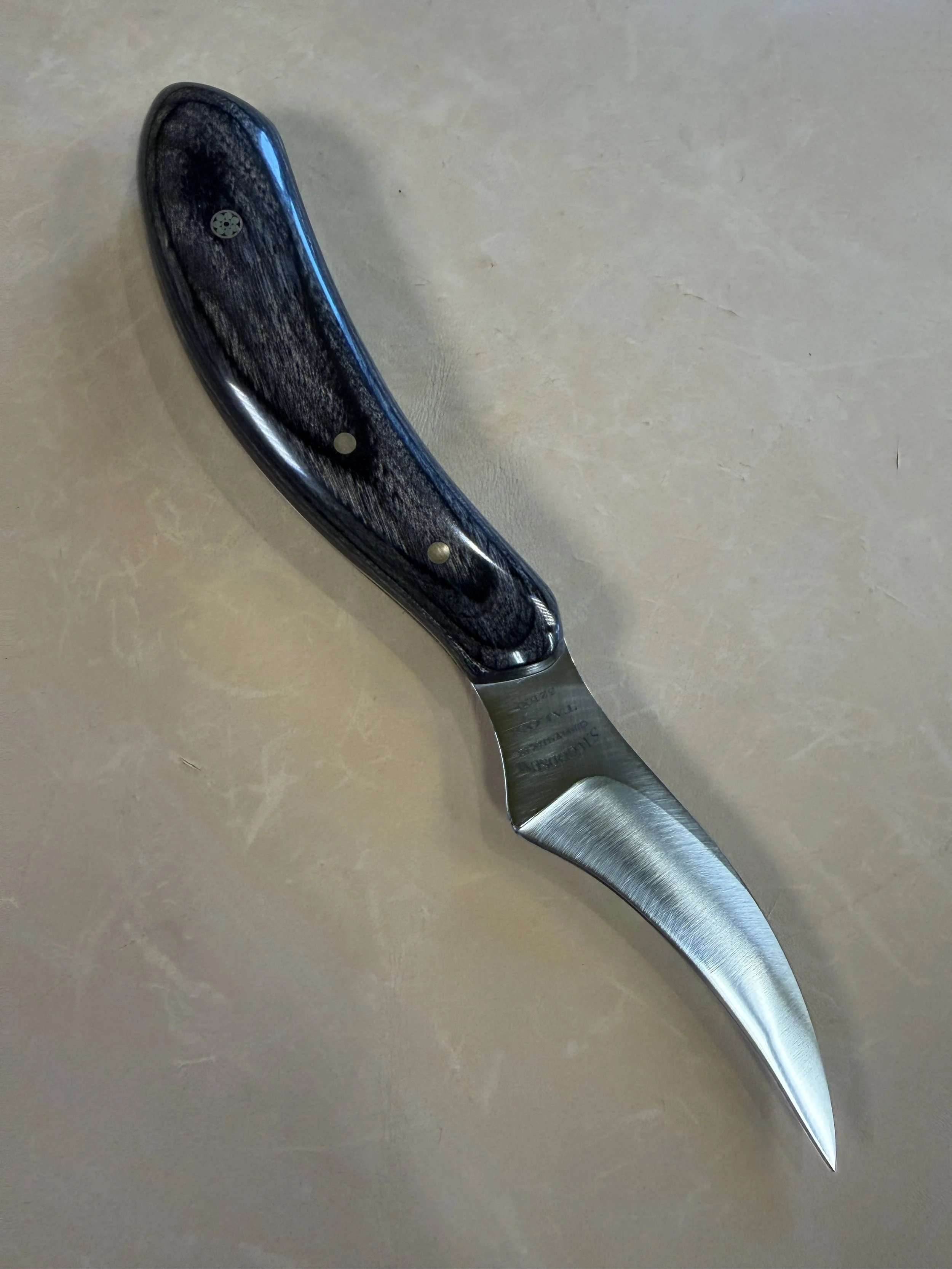 Talon Curved Detail — Shaun Woodsum Custom Knives