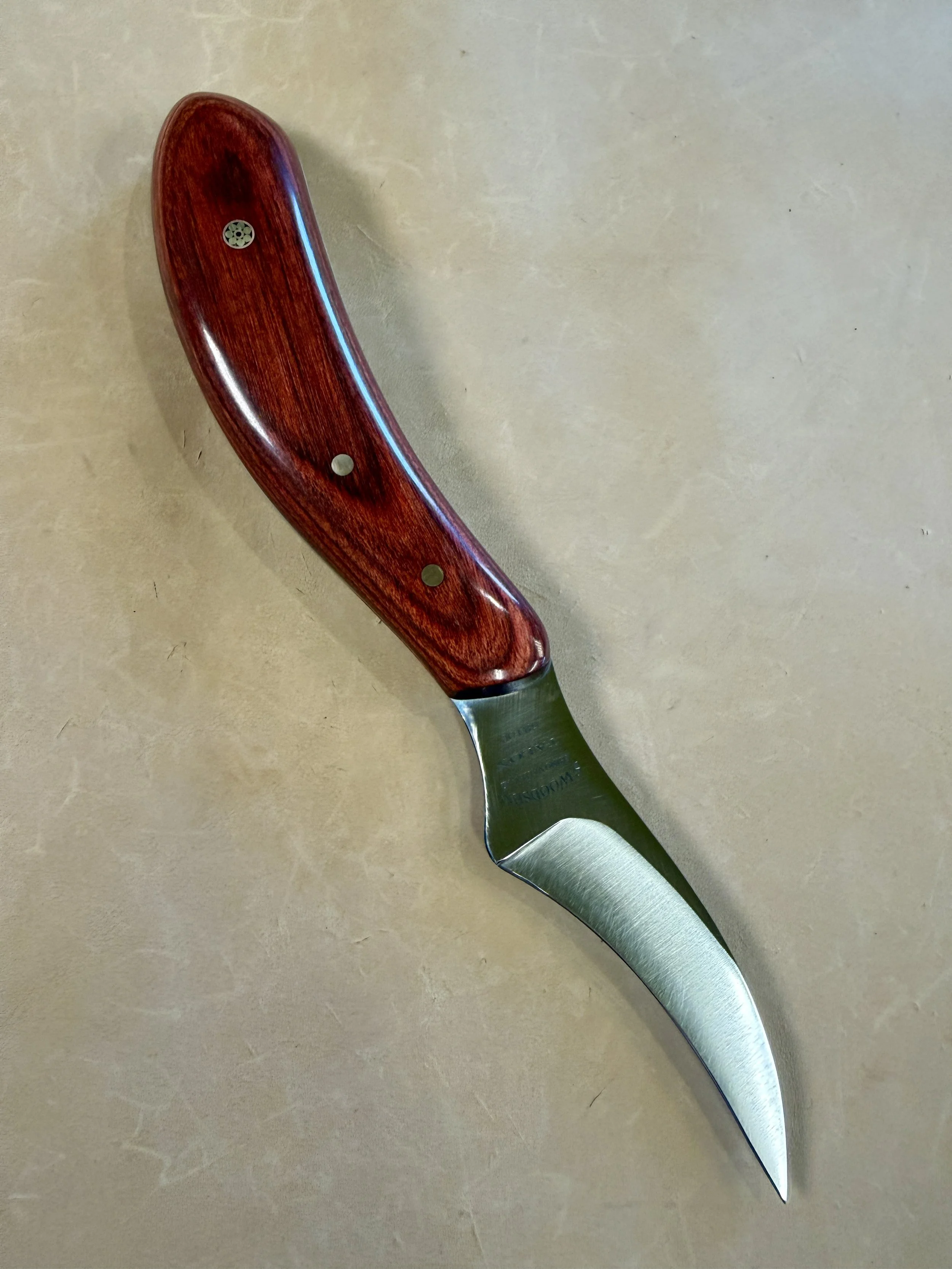 Talon Curved Detail — Shaun Woodsum Custom Knives