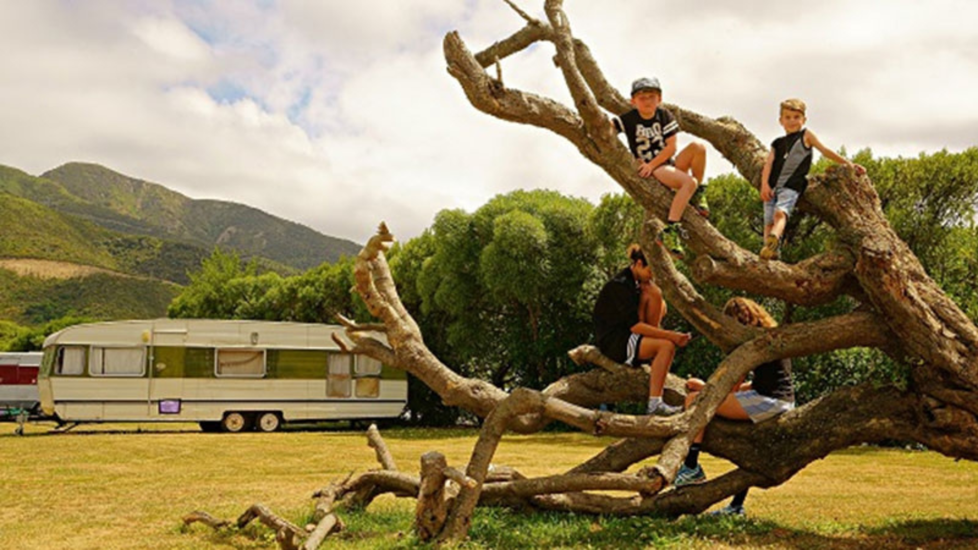 Ngai Tahu has other plans for popular Kaikoura camping ground land ...