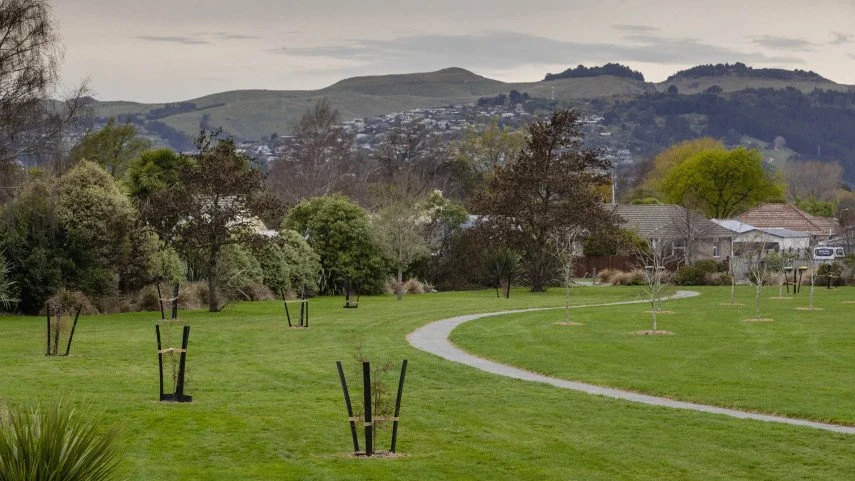 More trees for Christchurch — Chris Lynch Newsroom