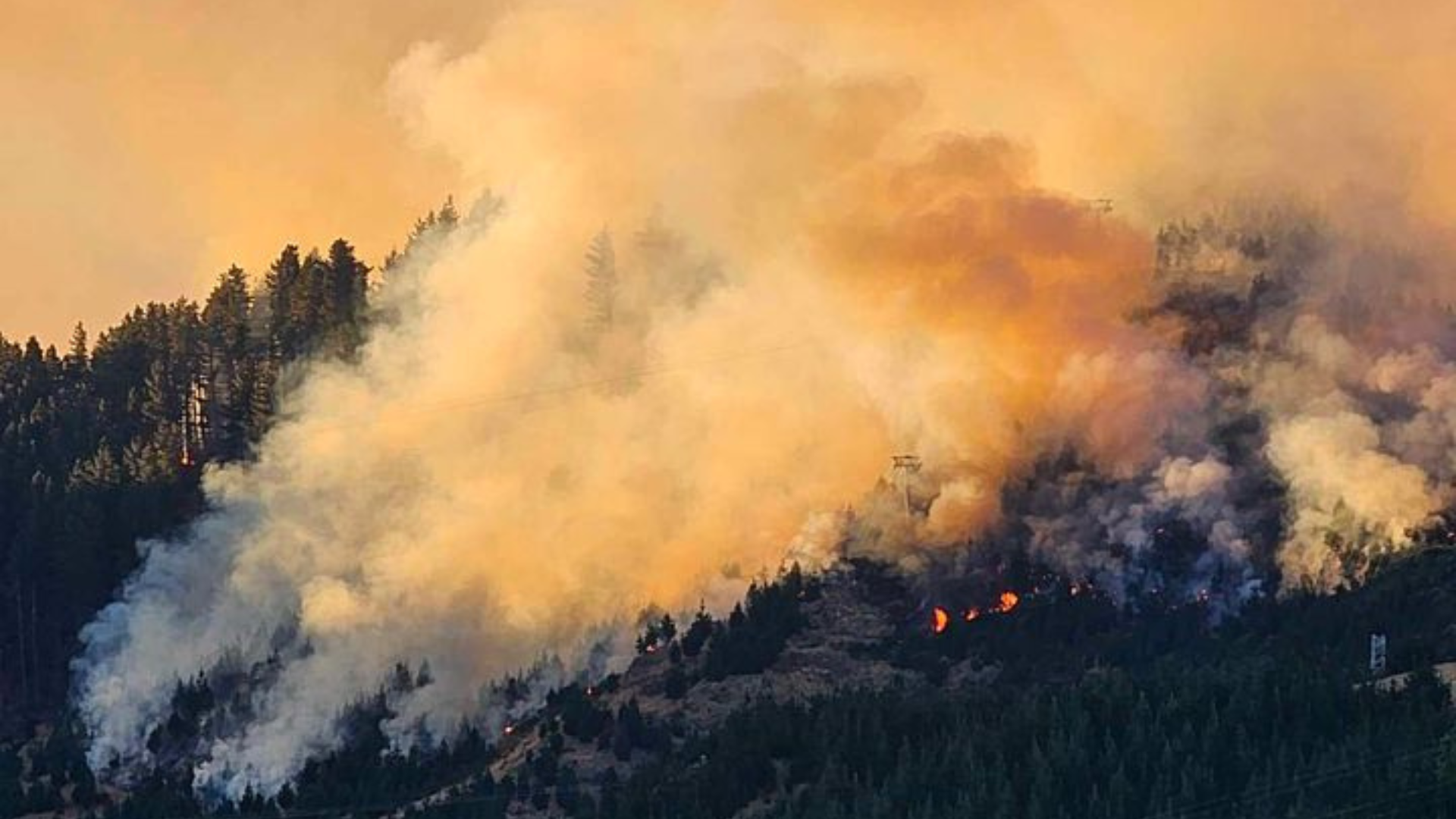 Day 2: Port Hills wildfire spreads to adventure park - Chris Lynch Media