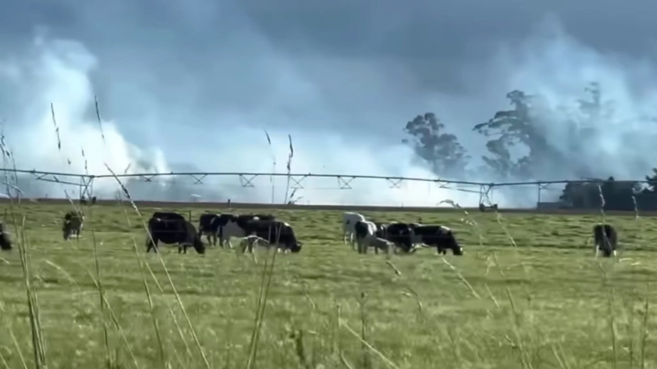 Scrub fire in Selwyn district now contained - Chris Lynch Media