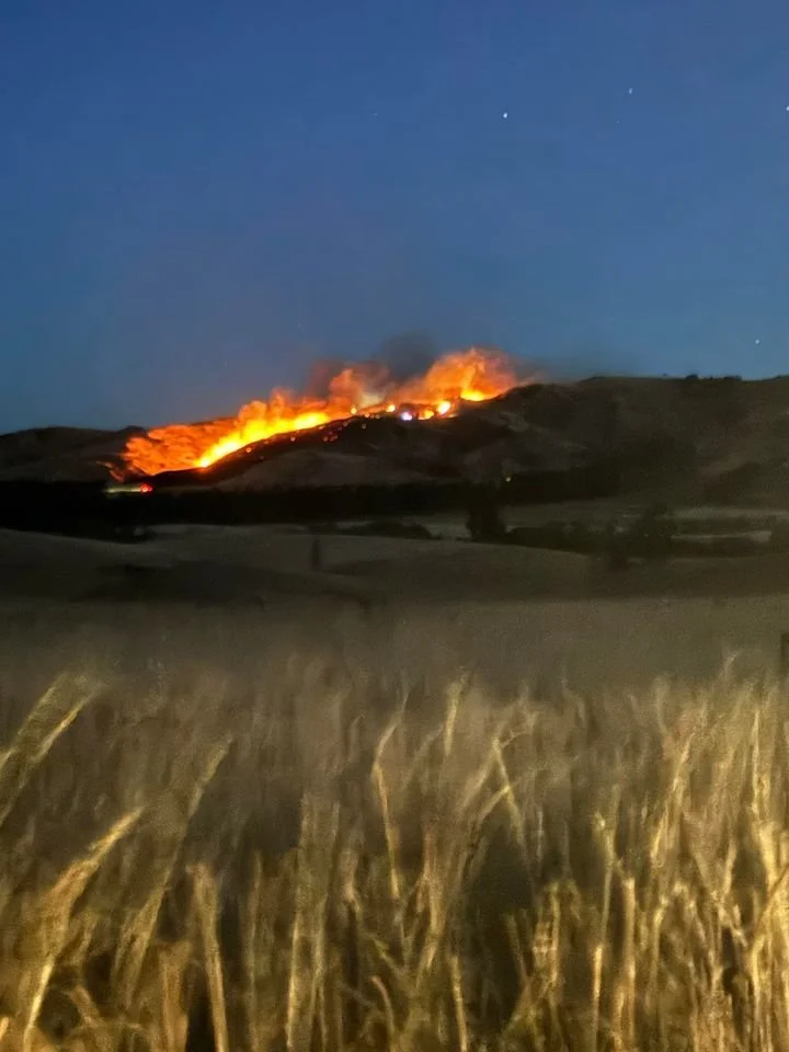 “Fast moving” vegetation fire in North Canterbury — Chris Lynch Newsroom