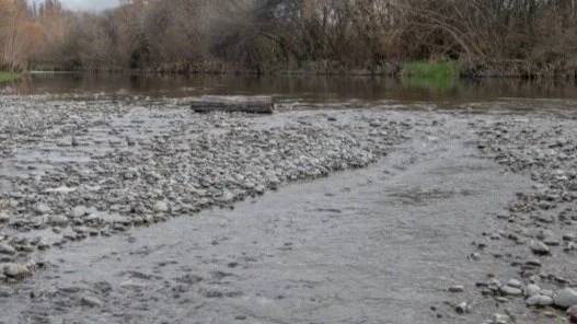 Health warning issued for Selwyn River - Chris Lynch Media