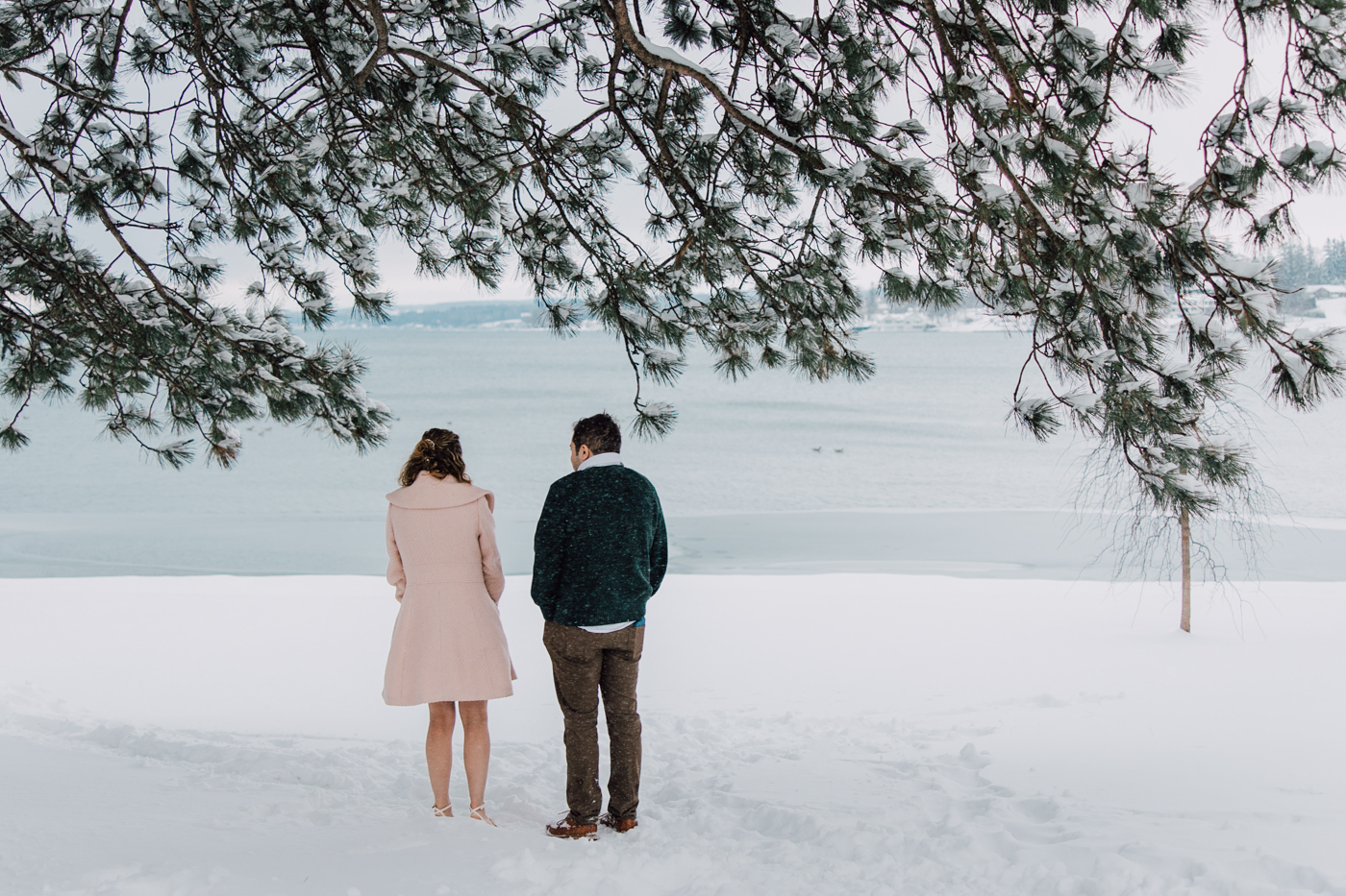 Amanda + Sam’s Proposal Pictures on Skaneateles Lake | Brittany ...