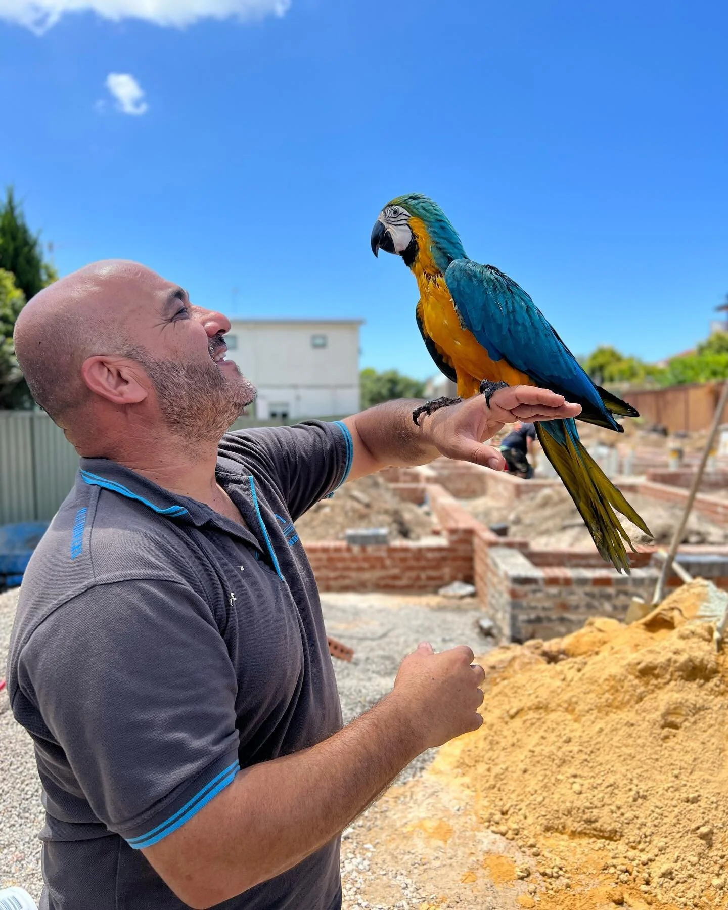 Home — Den Projects