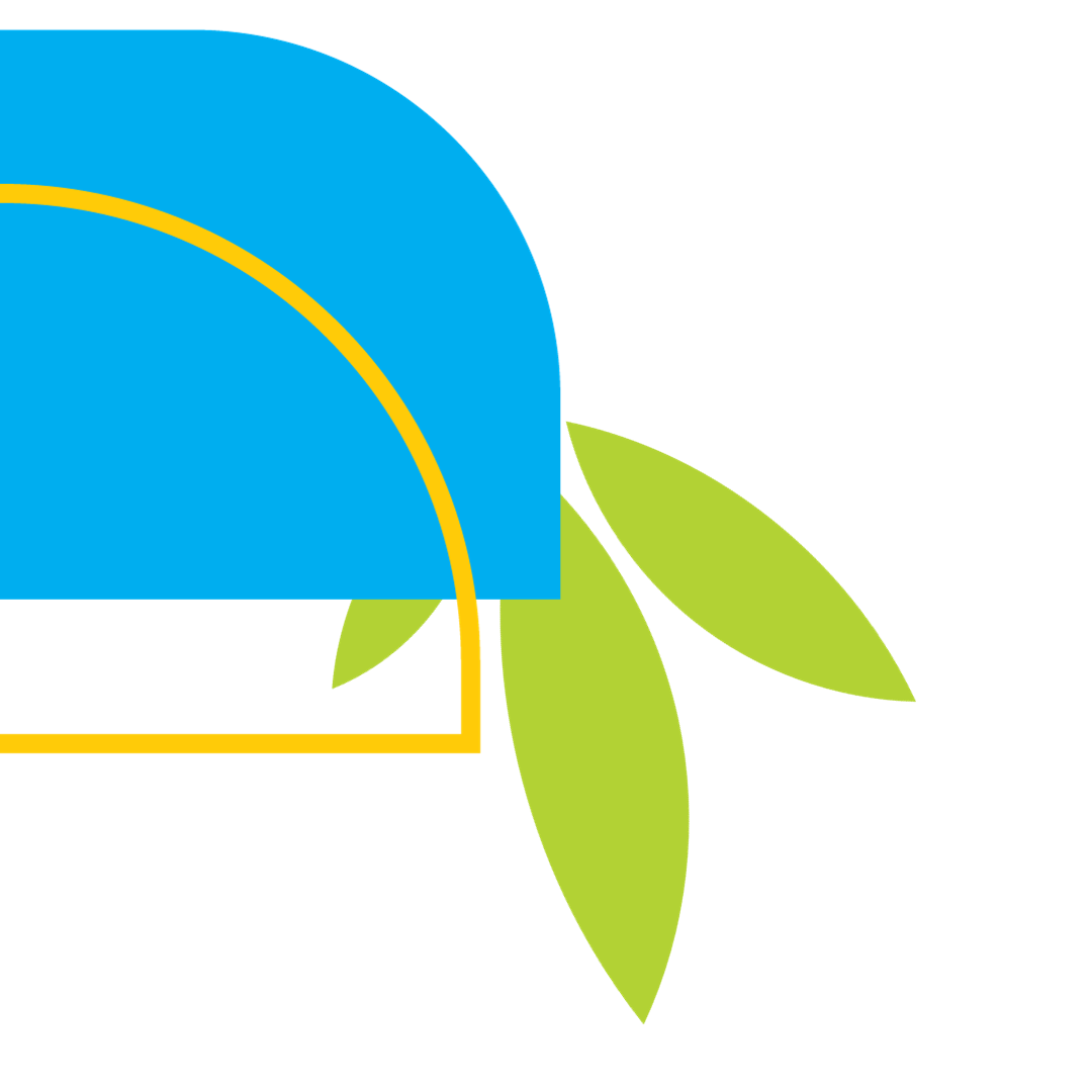 Services for Organizations — Thrive 360 - Christine Maassen